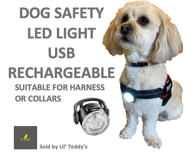 DOG LED Torch Night Walking Light for Harness or Collars Pet Safety - Etsy