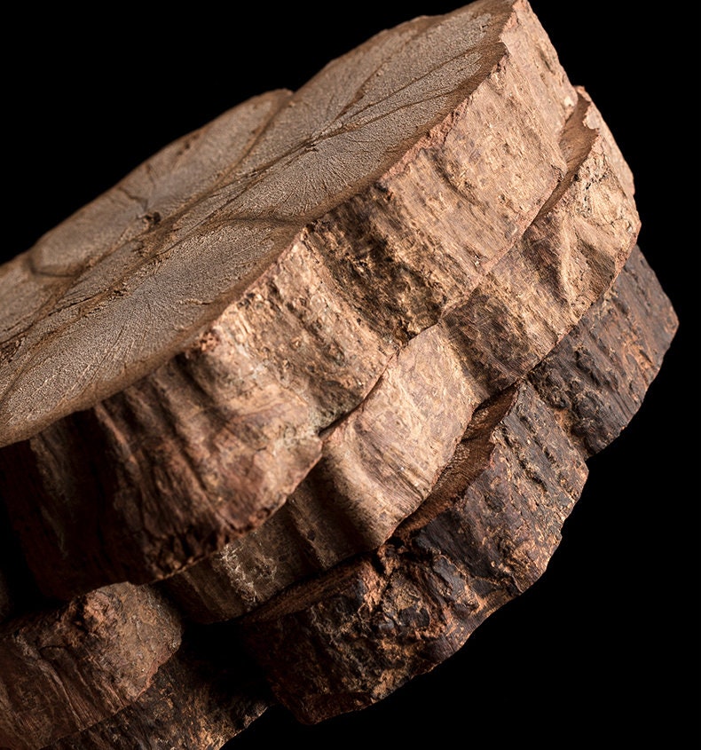 Wood Slices, Wood Slabs, Tree Slices, Coasters, Hand Carved, Woodland ...