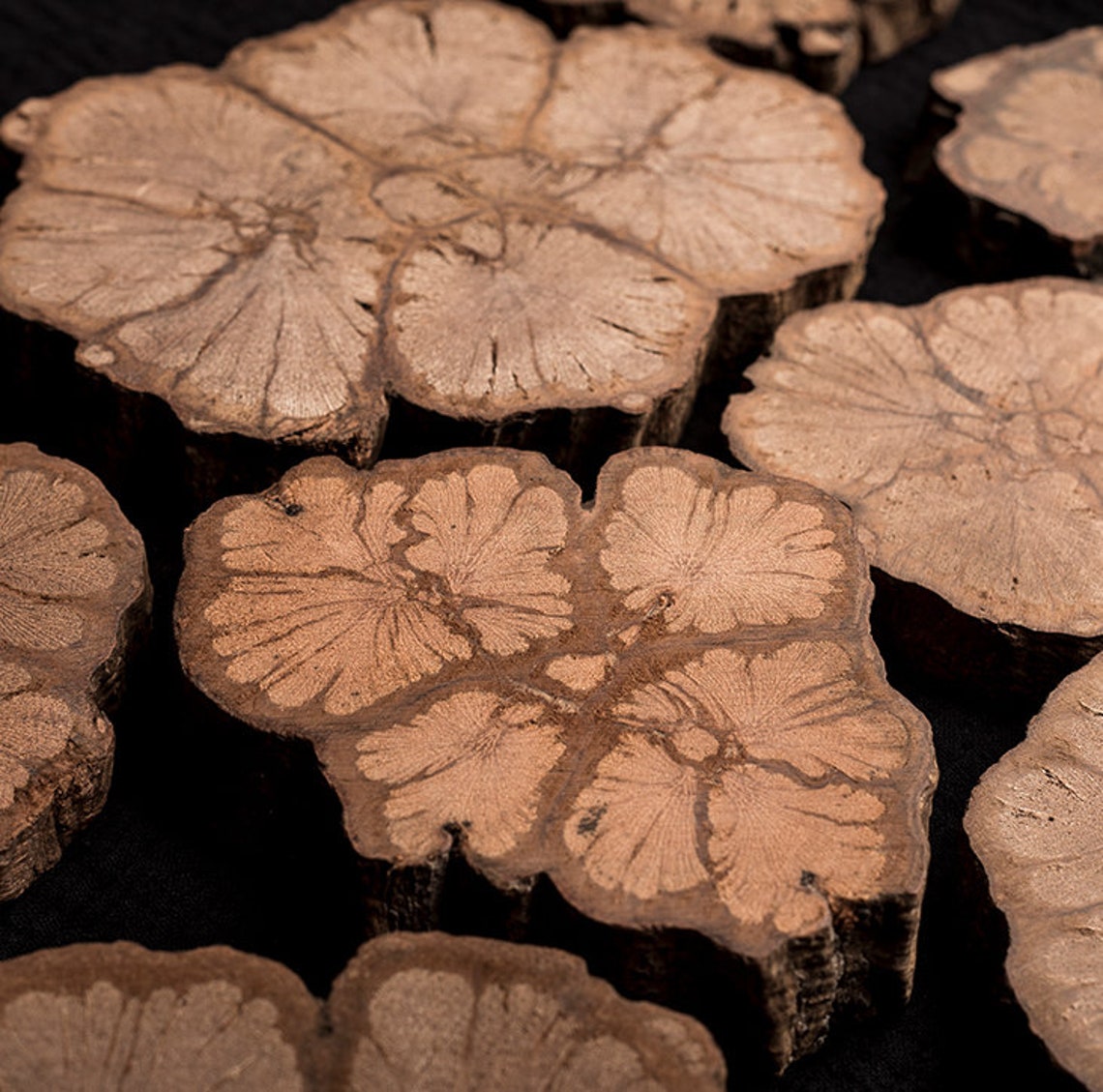 Wood Slices, Wood Slabs, Tree Slices, Coasters, Hand Carved, Woodland ...