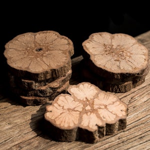 Wood Slices, Wood Slabs, Tree Slices, Coasters, Hand Carved, Woodland ...