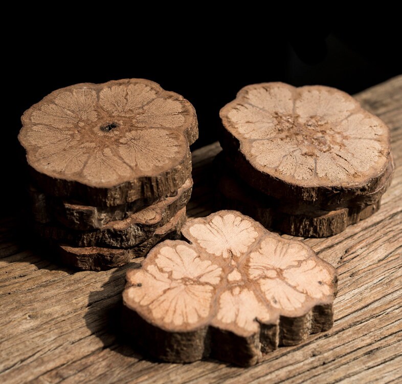 Wood Slices, Wood Slabs, Tree Slices, Coasters, Hand Carved, Woodland ...