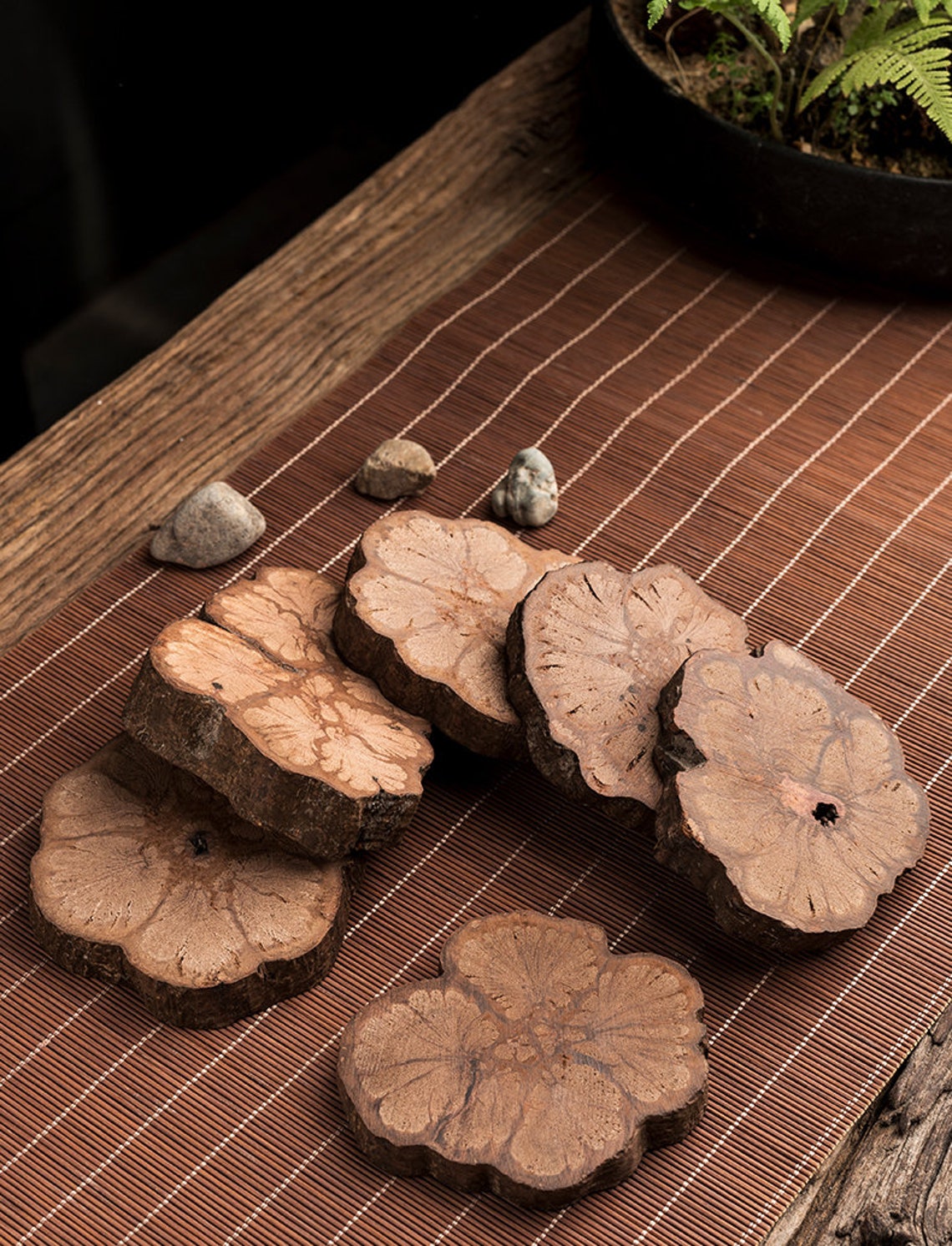 Wood Slices, Wood Slabs, Tree Slices, Coasters, Hand Carved, Woodland ...