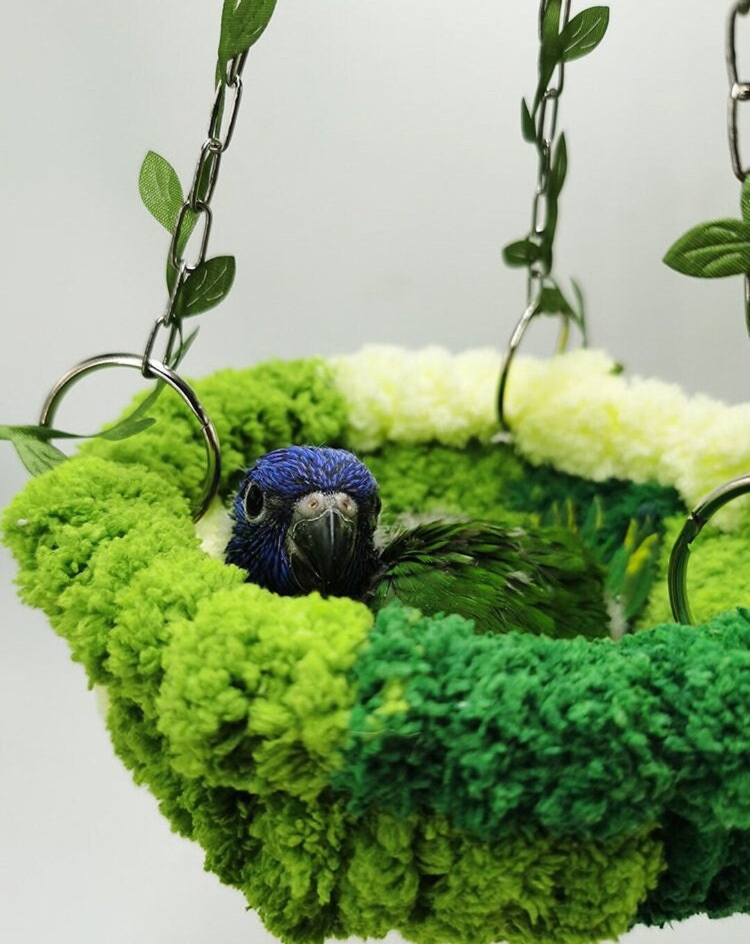 Pets Hammock, Moss Pet Hammock, Rat Hammock, Bird Hammock, Hamster ...