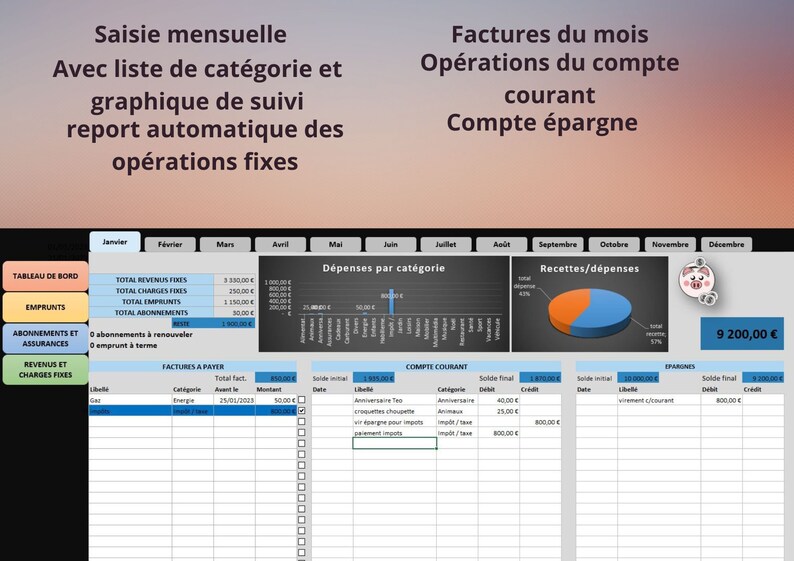 Monthly and Annual Excel Budget in French Fully Automated, File to ...