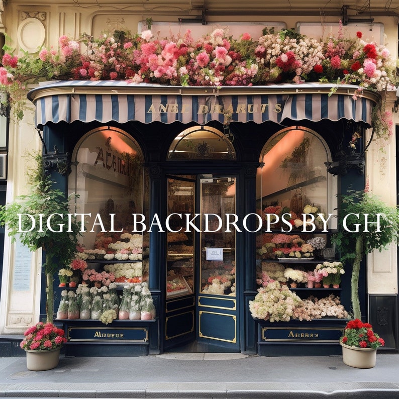 French Boutique Digital Backdrop (6) - Etsy