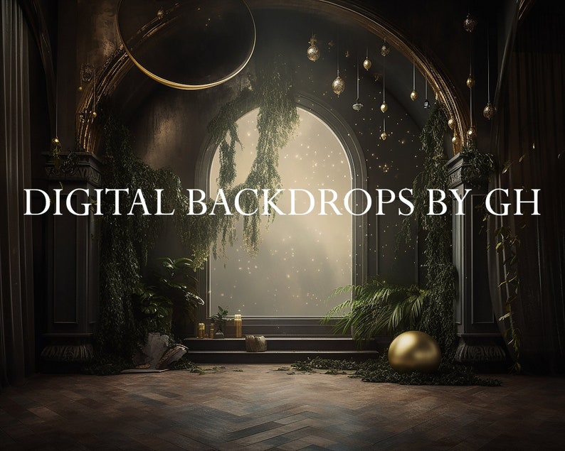 Celestial- 6 Digital Backdrops - Etsy