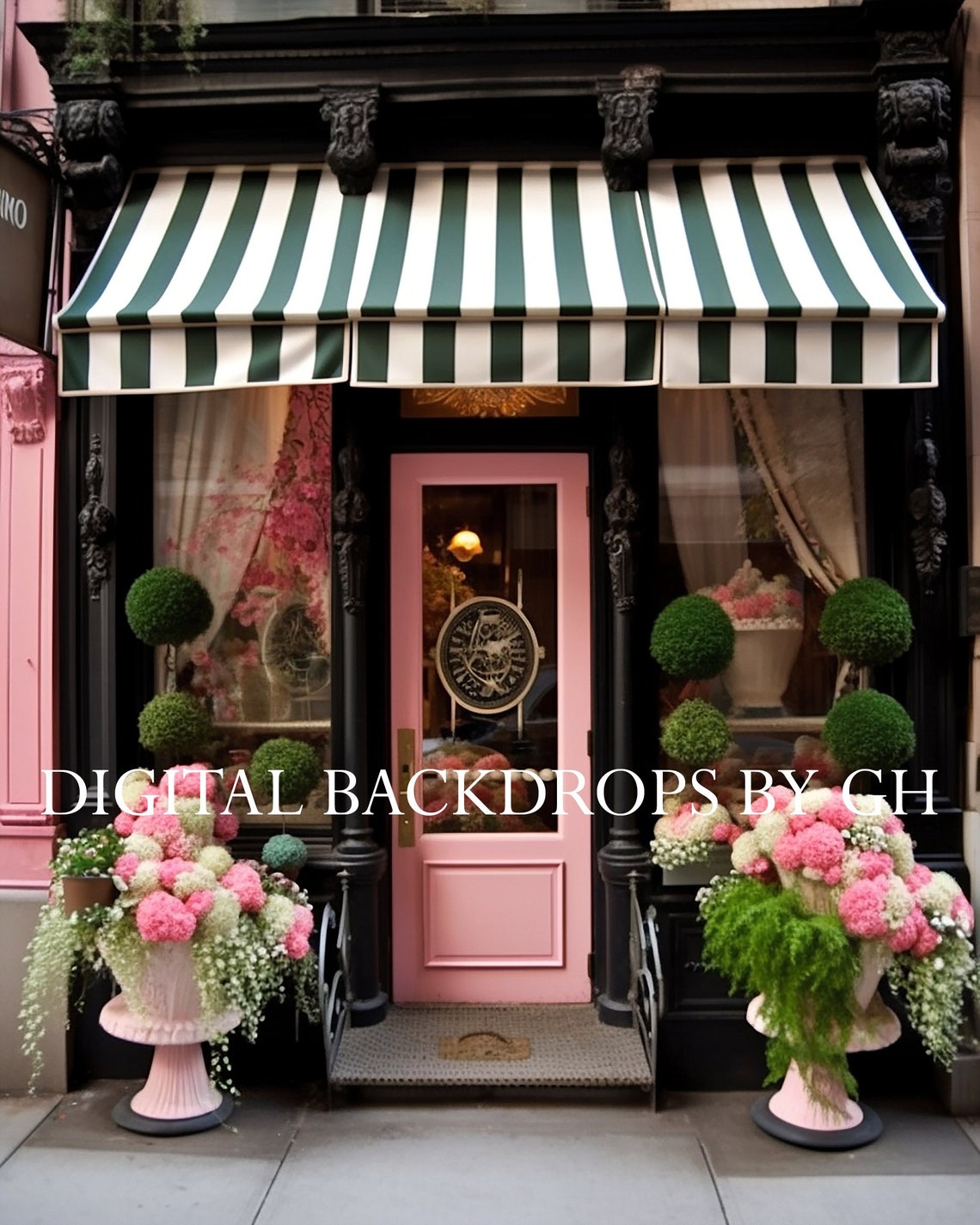 French Boutique Digital Backdrop (6) - Etsy