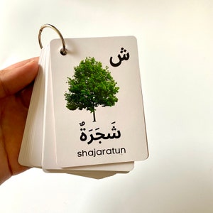 Arabic Alphabet Flash Cards Children Learning Arabic Words - Etsy
