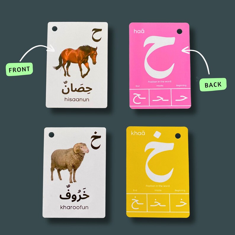 Arabic Alphabet Flash Cards, Children Learning Arabic Words, Islamic ...