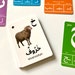 Arabic Alphabet Flash Cards Children Learning Arabic Words - Etsy