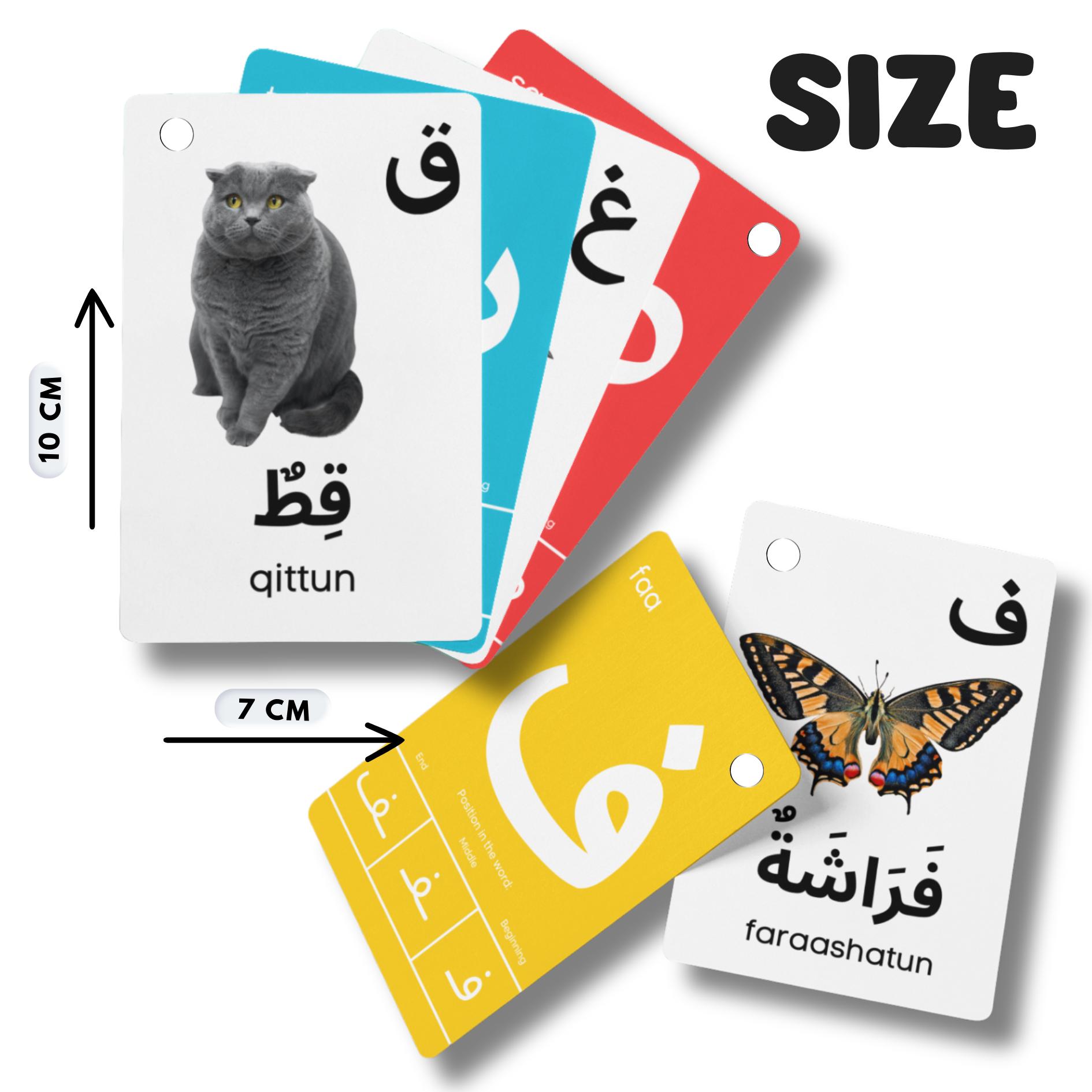 Arabic Alphabet Flash Cards, Children Learning Arabic Words, Islamic ...