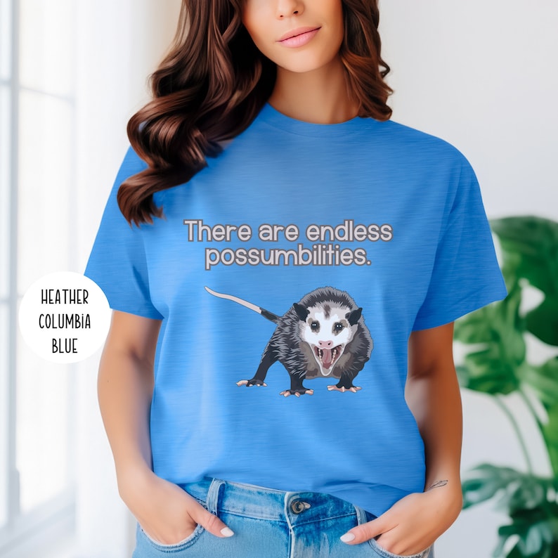 Cute Sarcastic Tshirt, Sarcastic Self Love Shirt, Angry Possum Tee ...