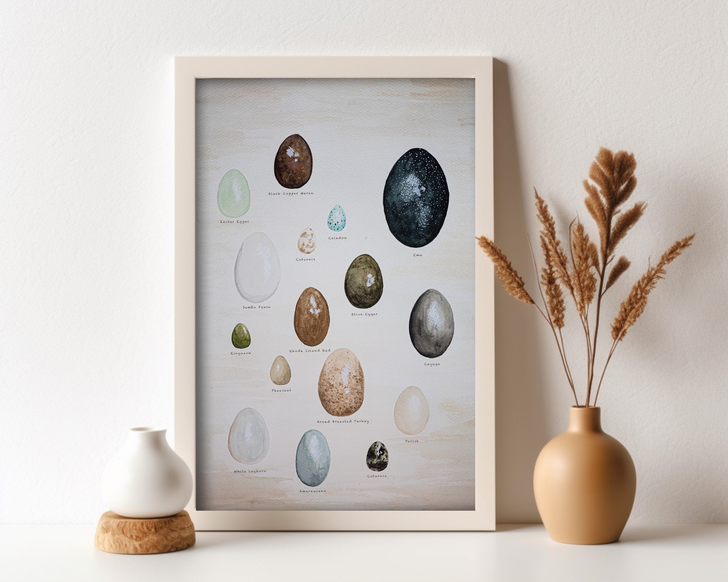 Rainbow Egg Identifier - Etsy