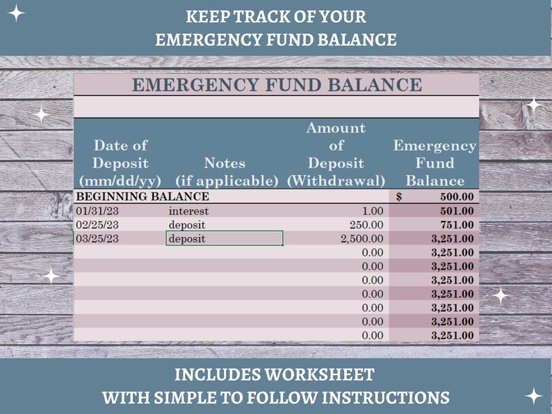 Emergency Fund Budget and Tracking Worksheet Microsoft Excel Instant ...