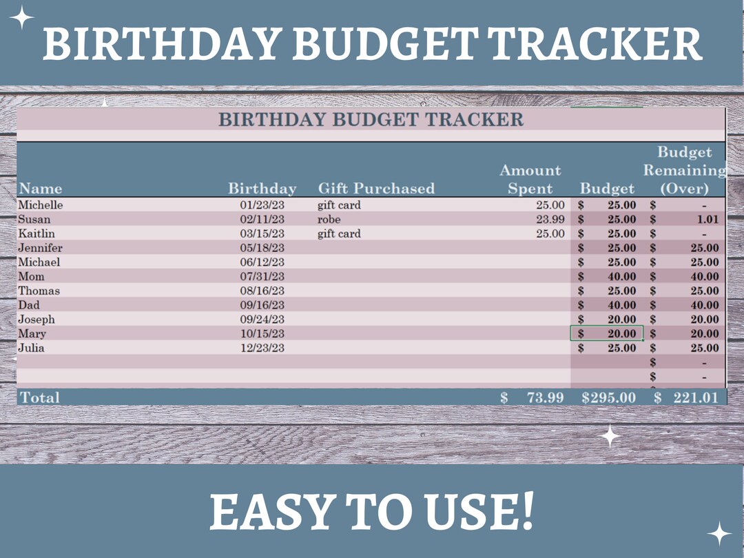 Birthday Gift Expense Budget Tracking Worksheet Microsoft - Etsy