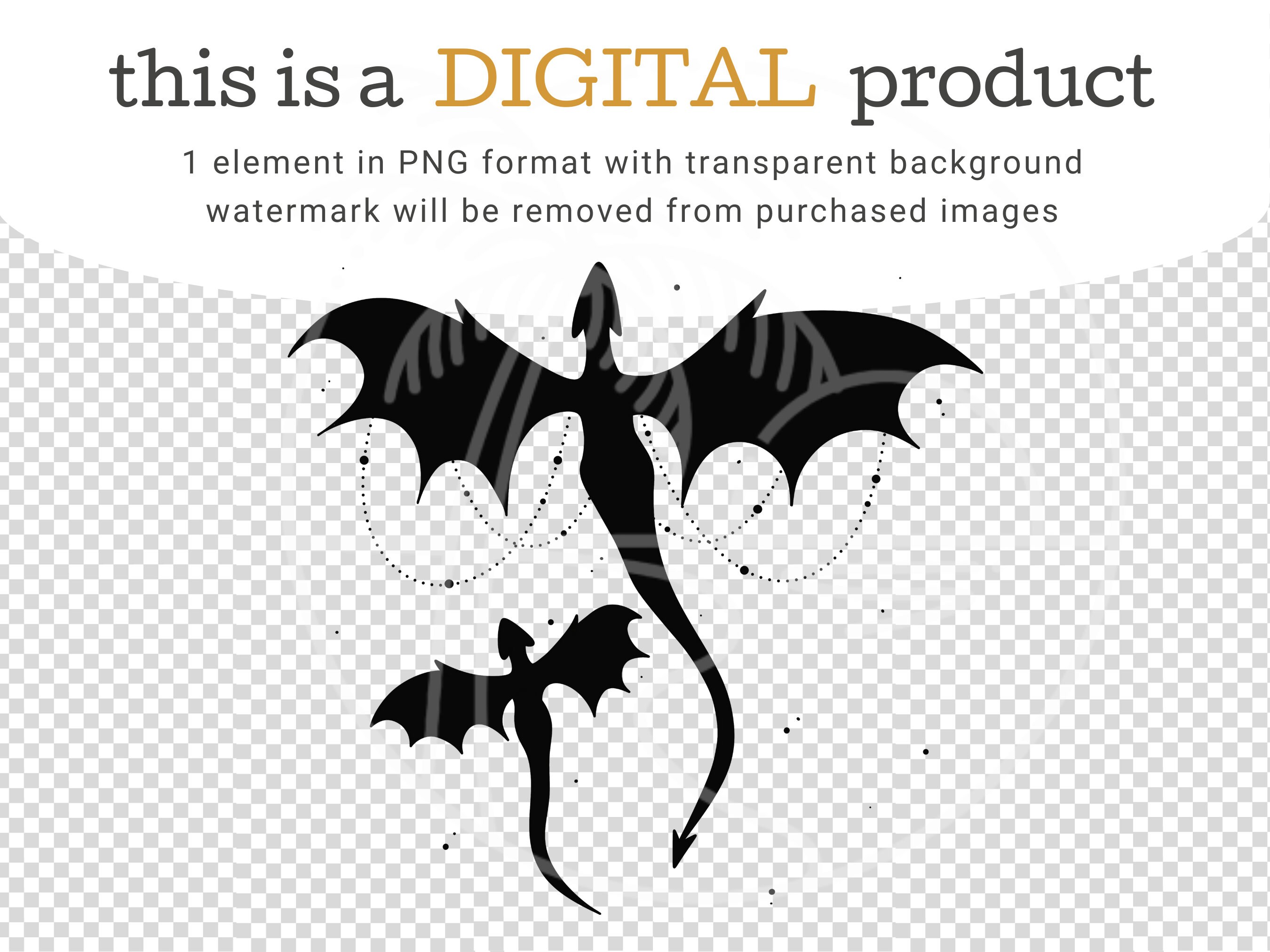 Fourth Wing Dragon PNG - Bookish CLIPART, Fantasy Basgiath War College ...