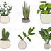 6 House Plant Clipart - PNG Set, Instant Download, Planner Stickers ...