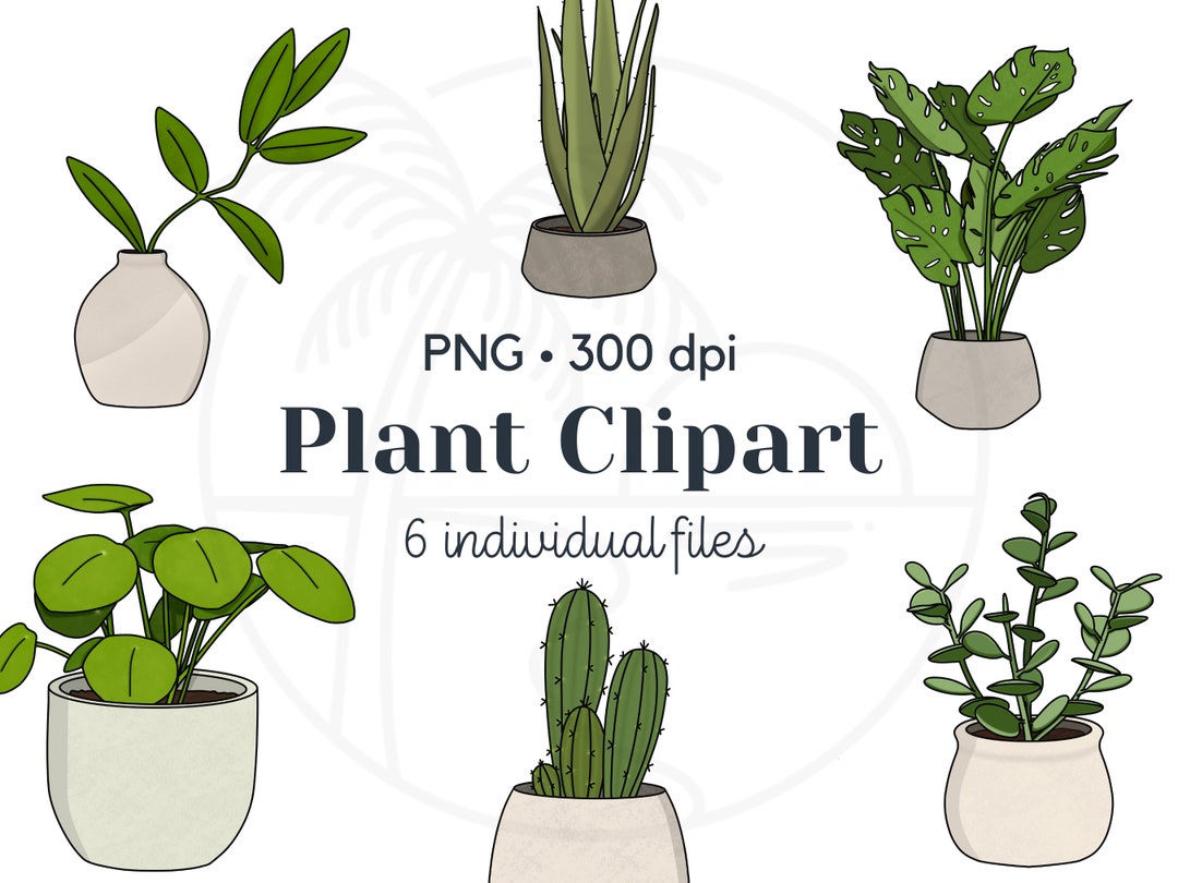 6 House Plant Clipart - PNG Set, Instant Download, Planner Stickers ...