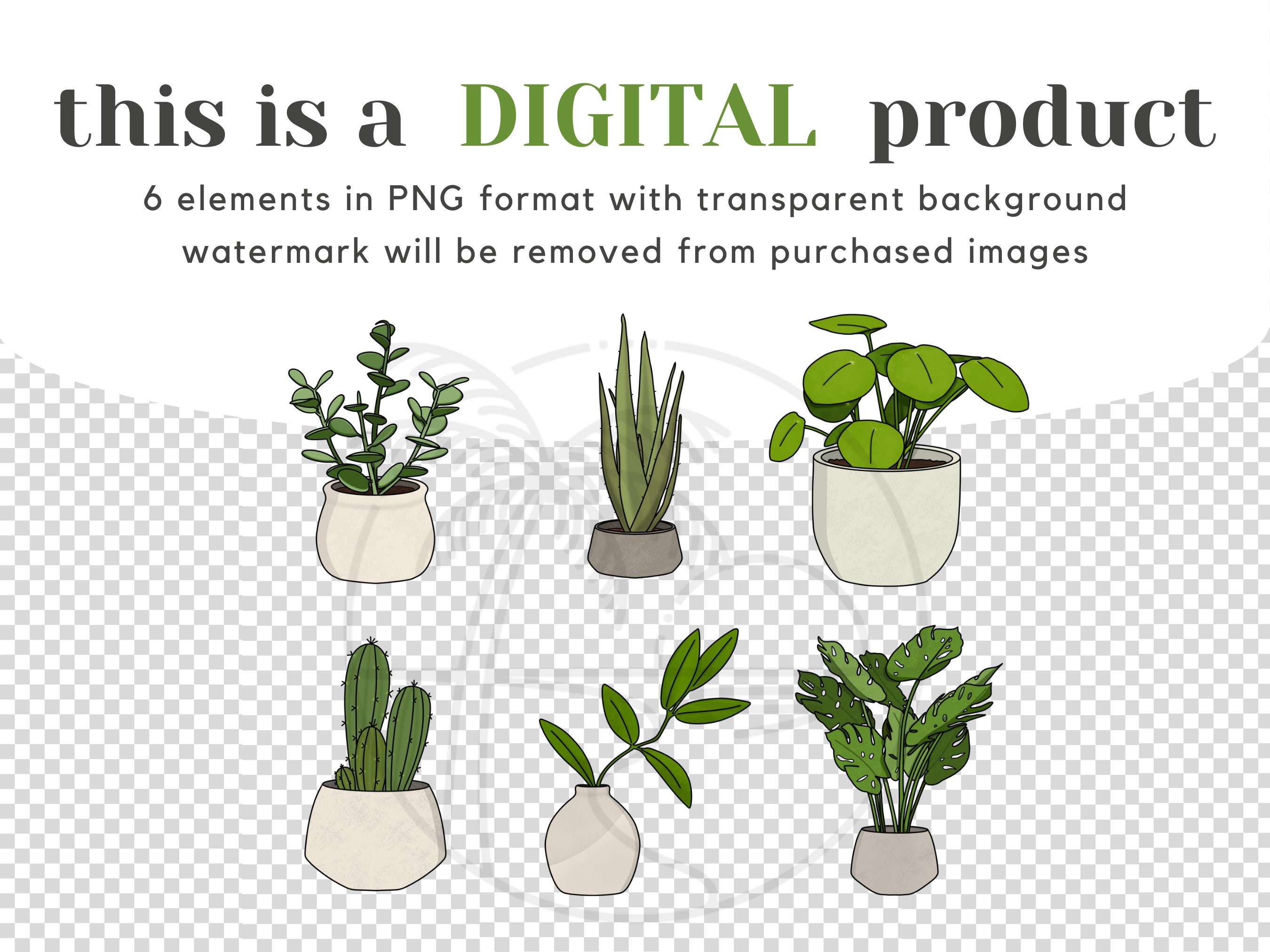 6 House Plant Clipart - PNG Set, Instant Download, Planner Stickers ...