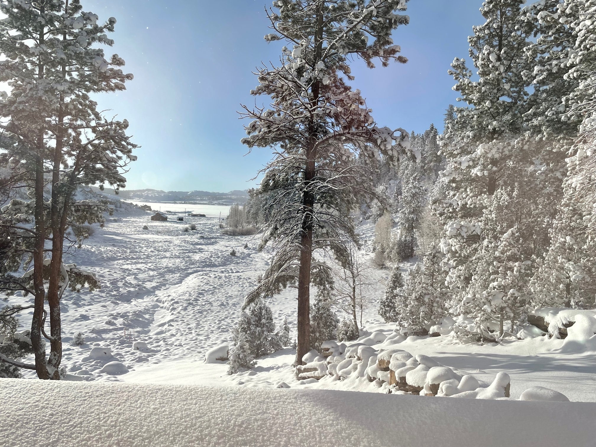 FRESH SNOW on PINE Trees Leading to the Lake - Etsy