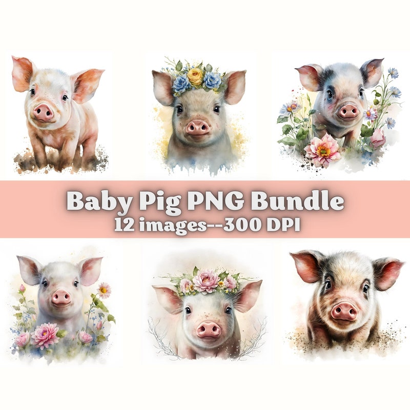 Pig Clip Art - Etsy