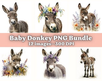 Farm Animal PNG, Highland Cow Clipart, Highland Cow PNG, Watercolor ...