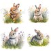 Bunny Rabbit Watercolor Clipart, Cute Baby Shower Graphics, Bunny ...