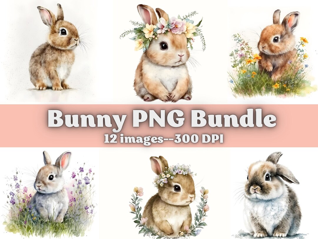 Bunny Rabbit Watercolor Clipart, Cute Baby Shower Graphics, Bunny ...