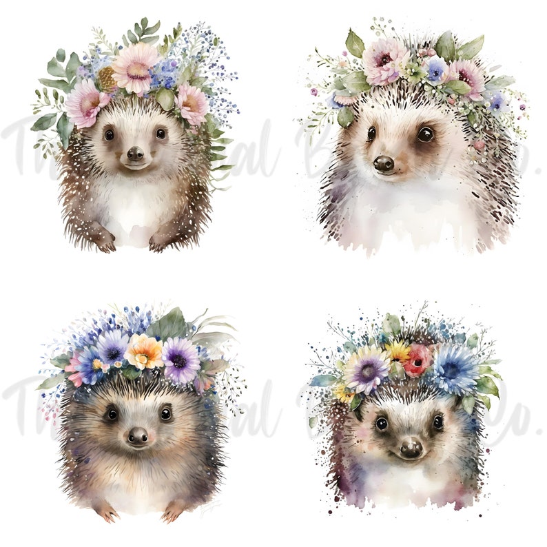 Woodland Animal PNG, Porcupine Clip Art, Porcupine PNG, Watercolor ...
