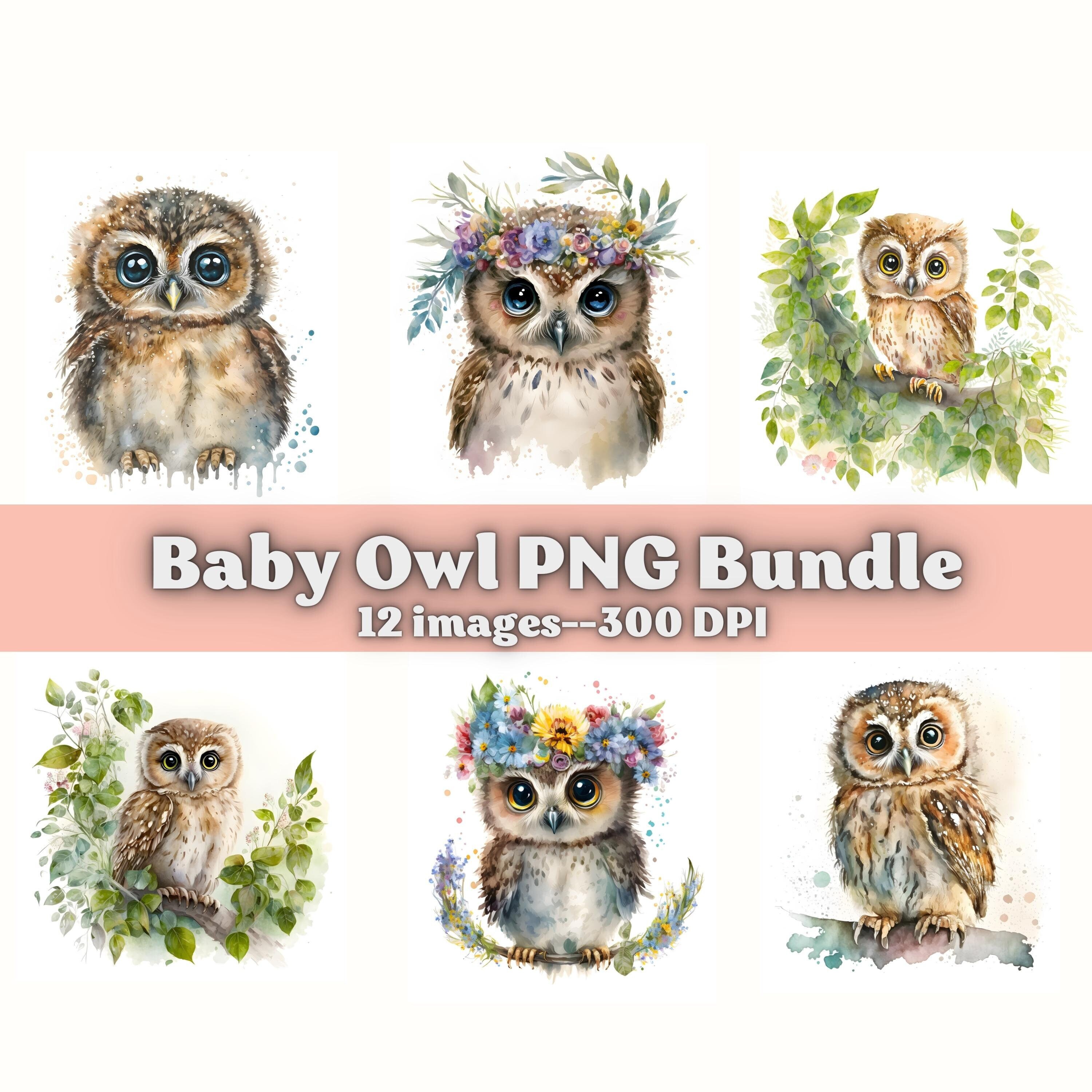 Woodland Animal PNG Owl Clip Art Owl PNG Watercolor - Etsy