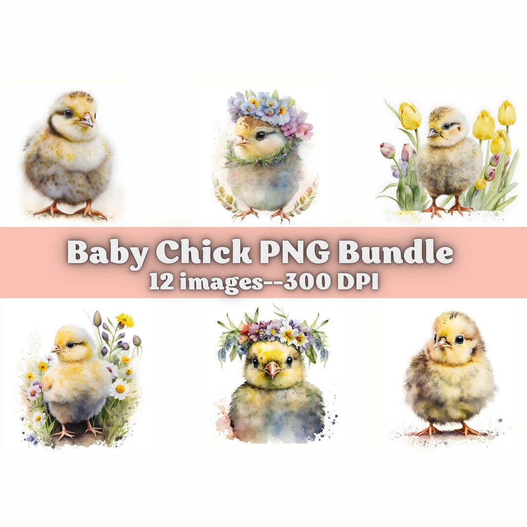 Farm Animal PNG, Baby Chick Clipart, Baby Chicken PNG, Watercolor, Farm ...