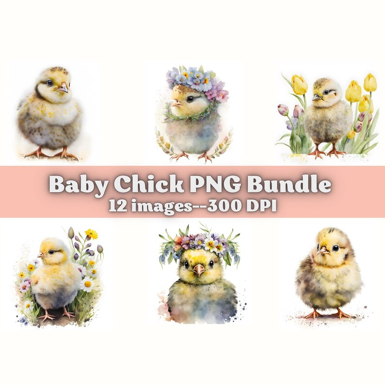 Farm Animal PNG, Baby Chick Clipart, Baby Chicken PNG, Watercolor, Farm ...
