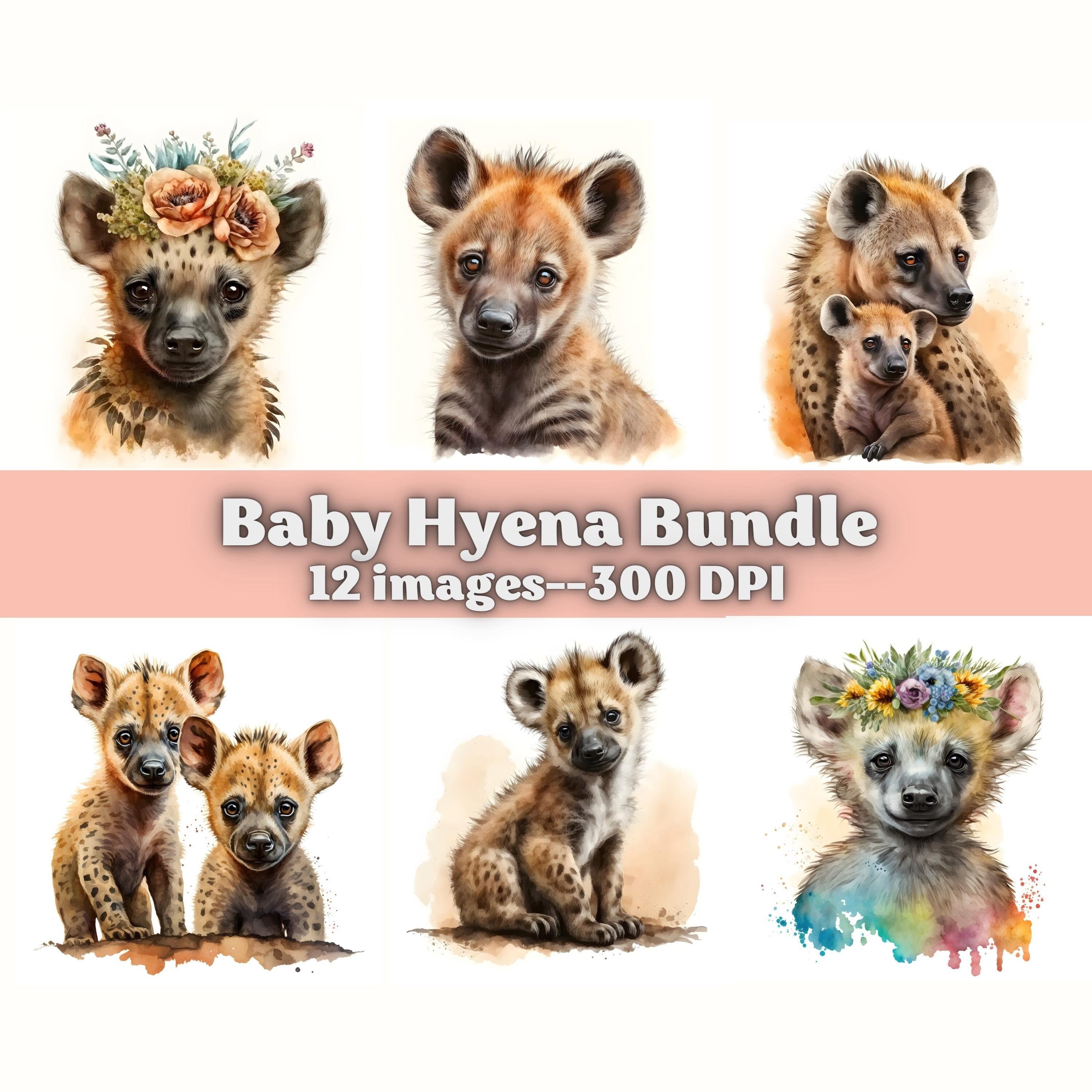 Safari Animals Clipart PNG Bundle, Baby Hyena PNG, Watercolor, Baby ...