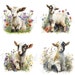 Baby Goat Clipart, Farm Animals PNG, Baby Goat PNG, Watercolor, Farm ...