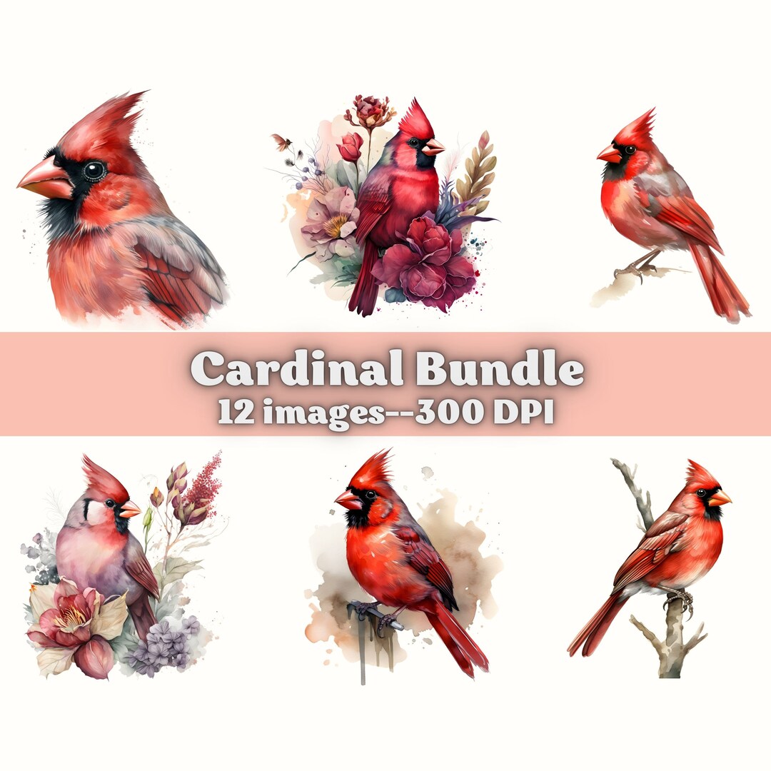 Red Cardinal PNG, Cardinal Clipart, Red Cardinal Bird, Watercolor Bird ...