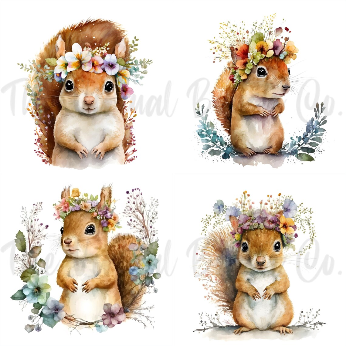 Woodland Animal PNG Squirrel Clip Art Baby Squirrel PNG - Etsy