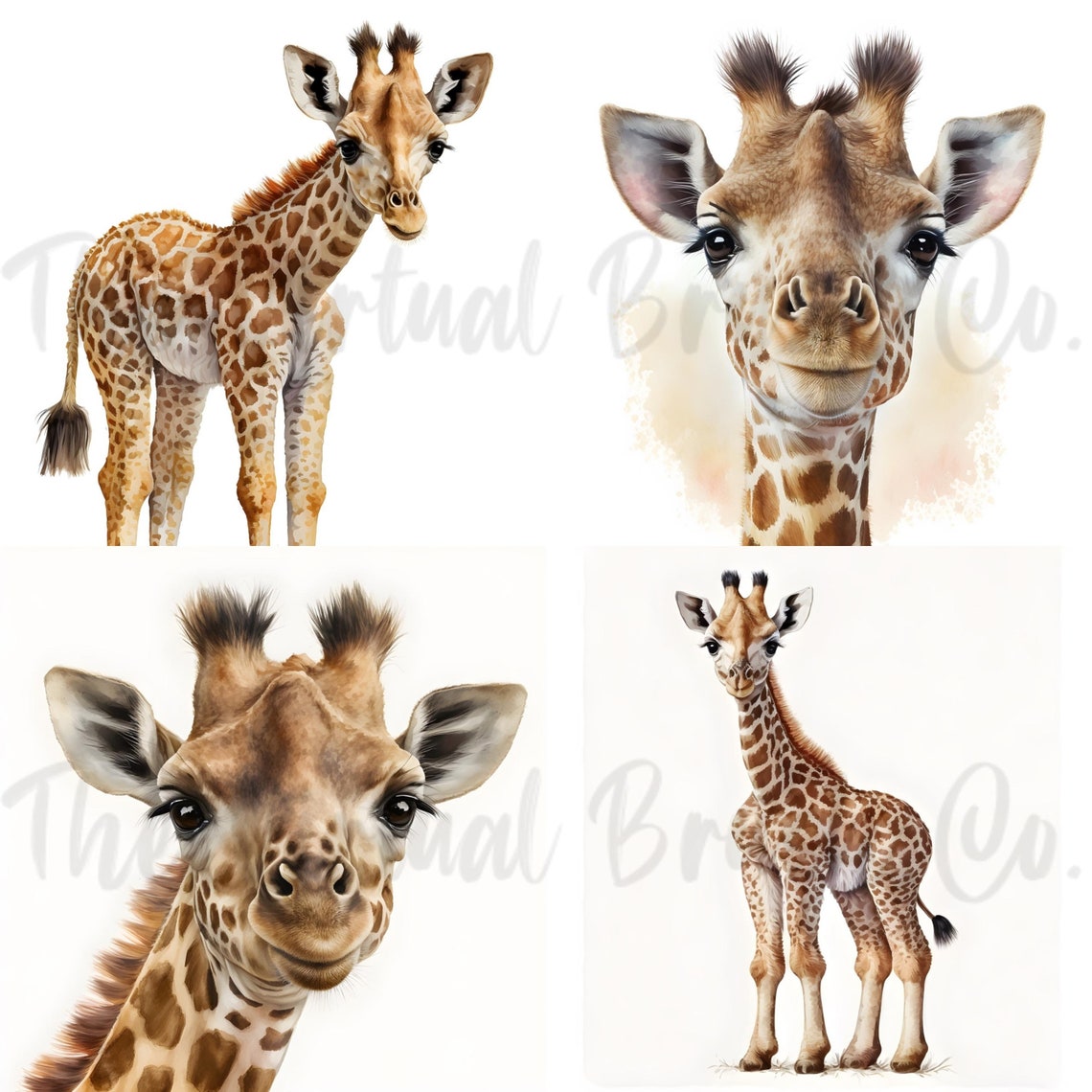 Safari Animals Clipart PNG Bundle, Baby Giraffe PNG, Watercolor, Baby ...