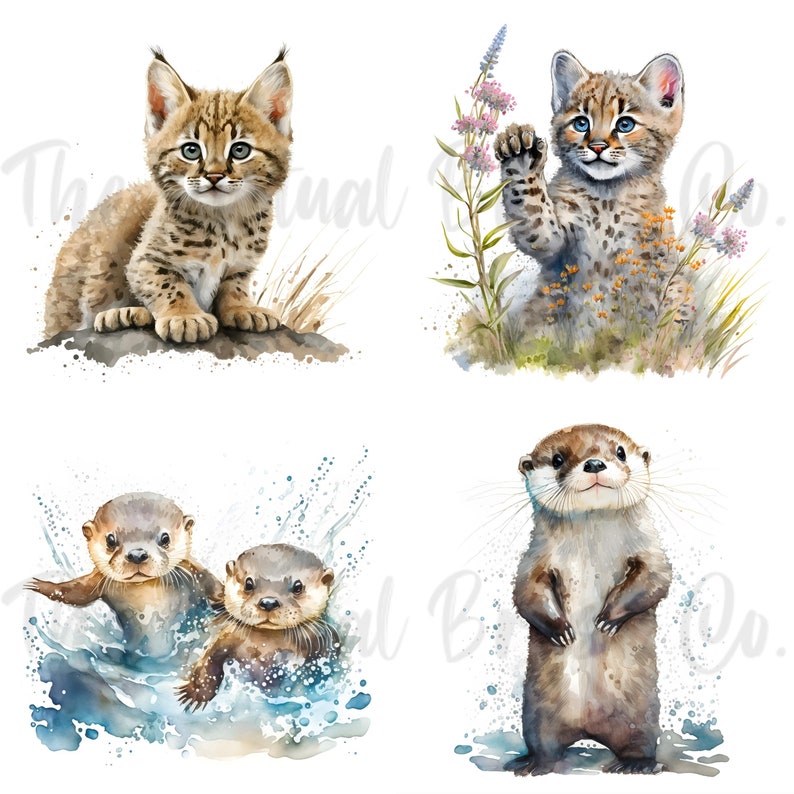 Woodland Animal PNG Bundle Baby Animals Clip Art Watercolor - Etsy