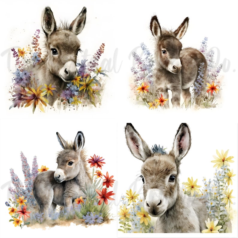 Baby Donkey Clipart, Farm Animal PNG, Baby Donkey PNG, Watercolor, Farm ...