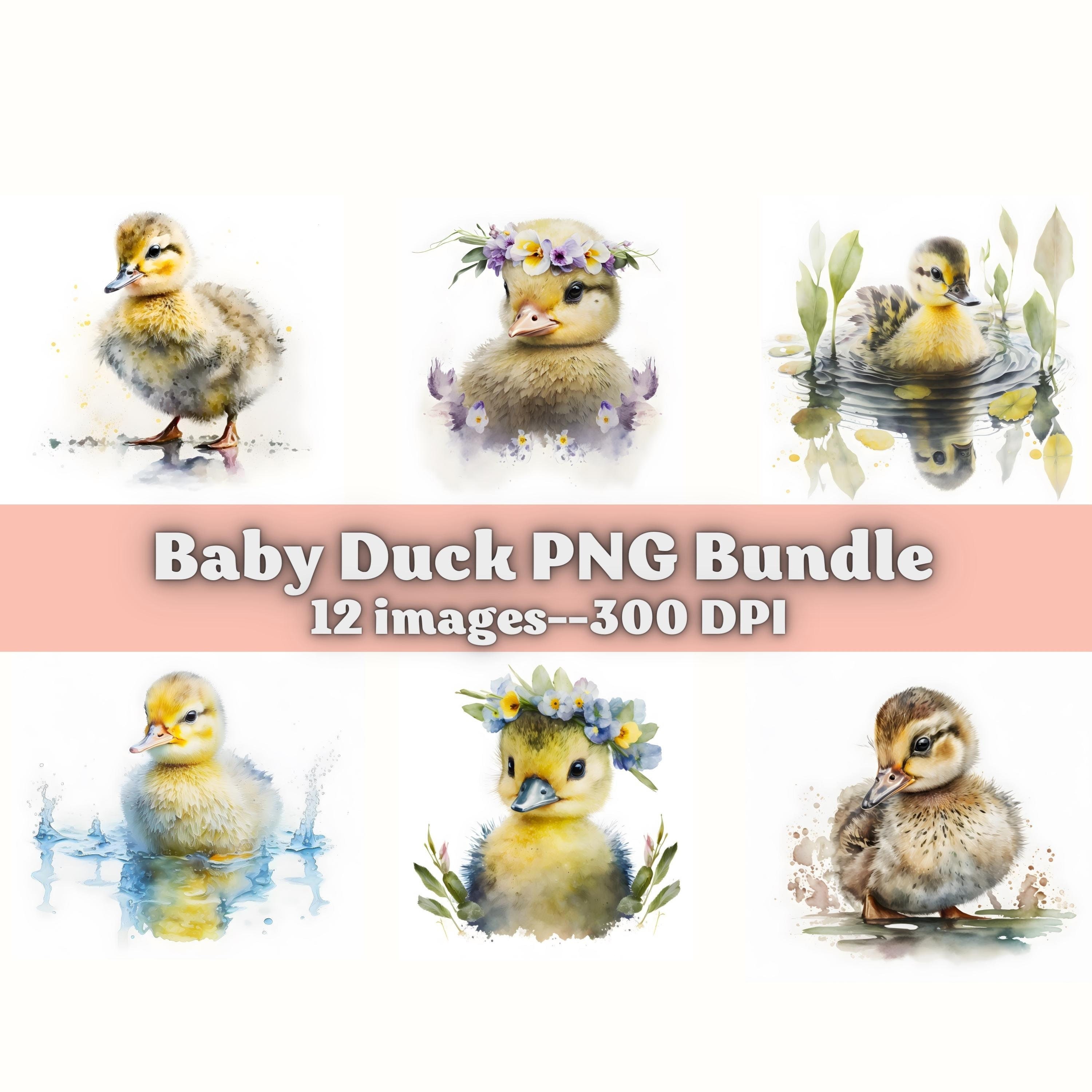 Farm Animals Duck Clip Art