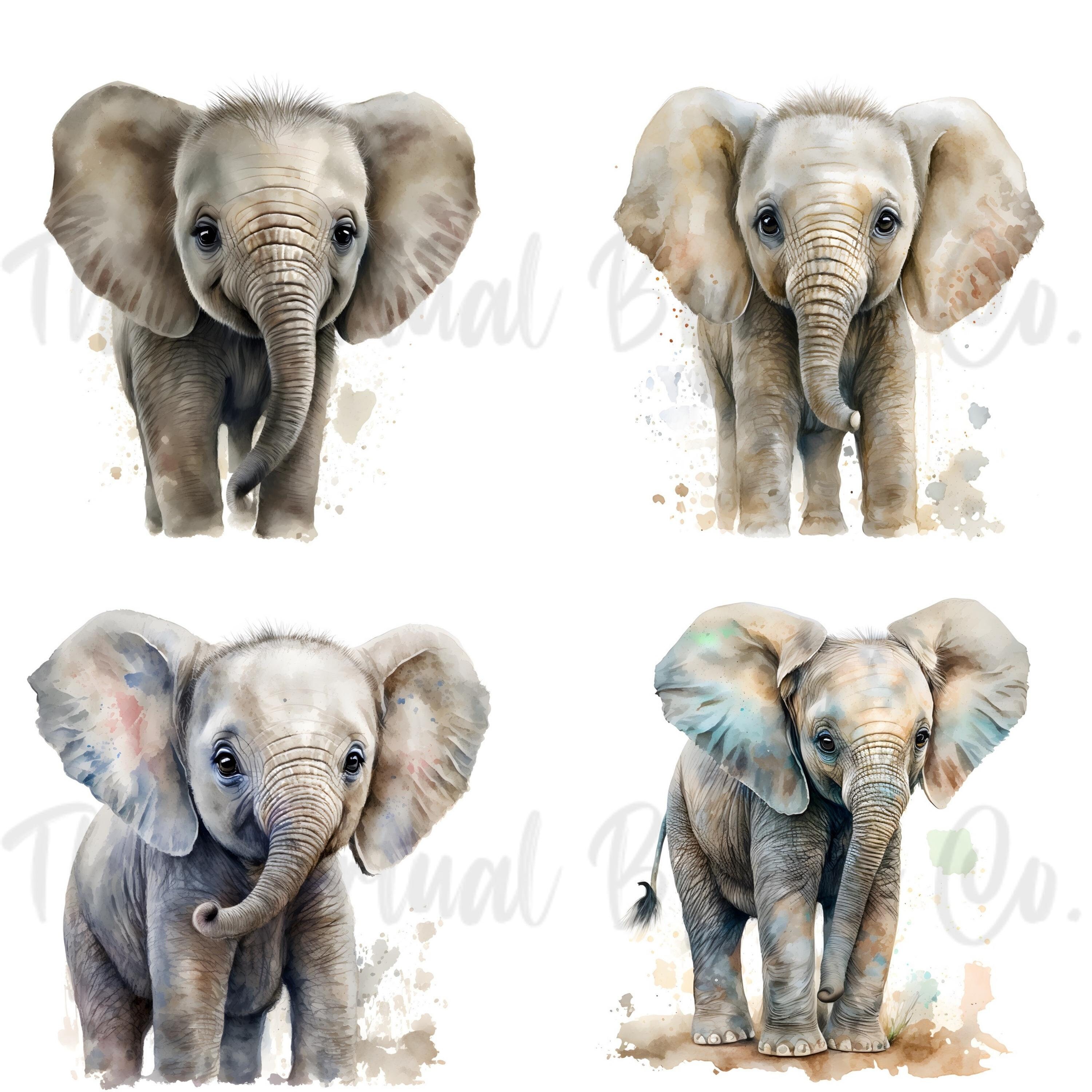 Safari Animal Clipart PNG Bundle, Baby Elephant PNG, Watercolor, Baby ...