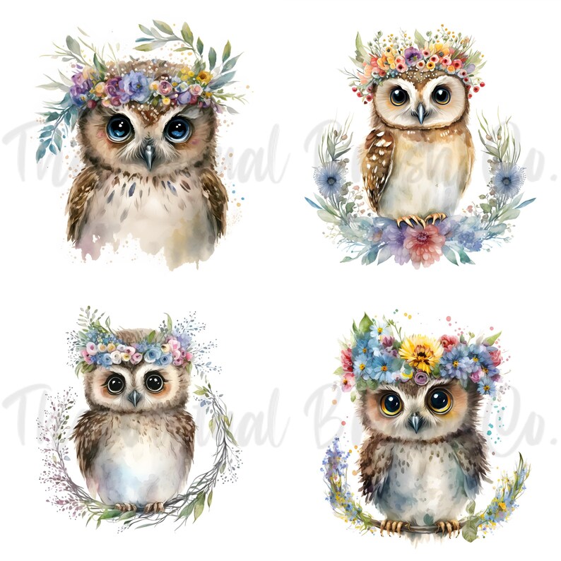 Woodland Animal PNG Owl Clip Art Owl PNG Watercolor - Etsy México
