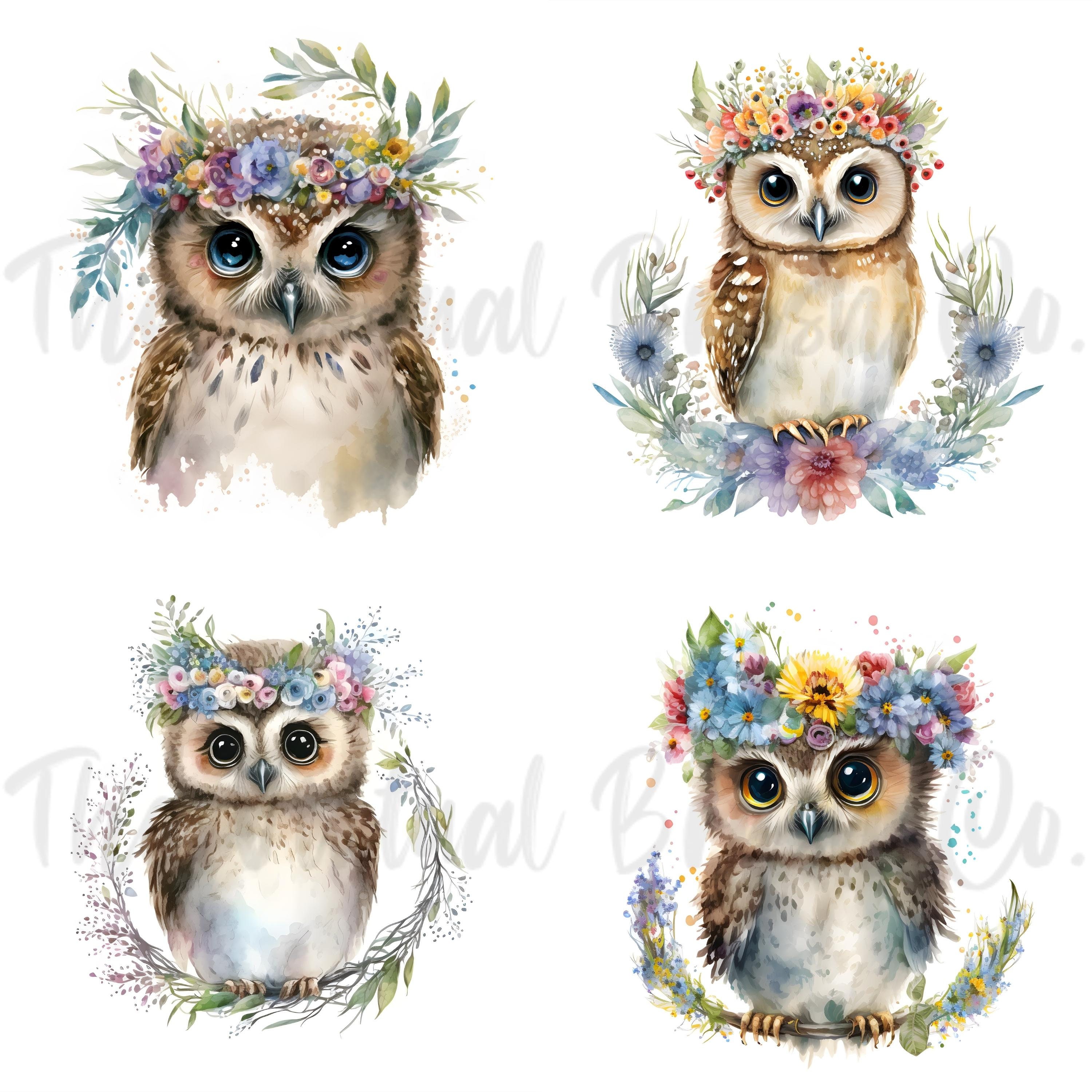 Woodland Animal PNG Owl Clip Art Owl PNG Watercolor - Etsy