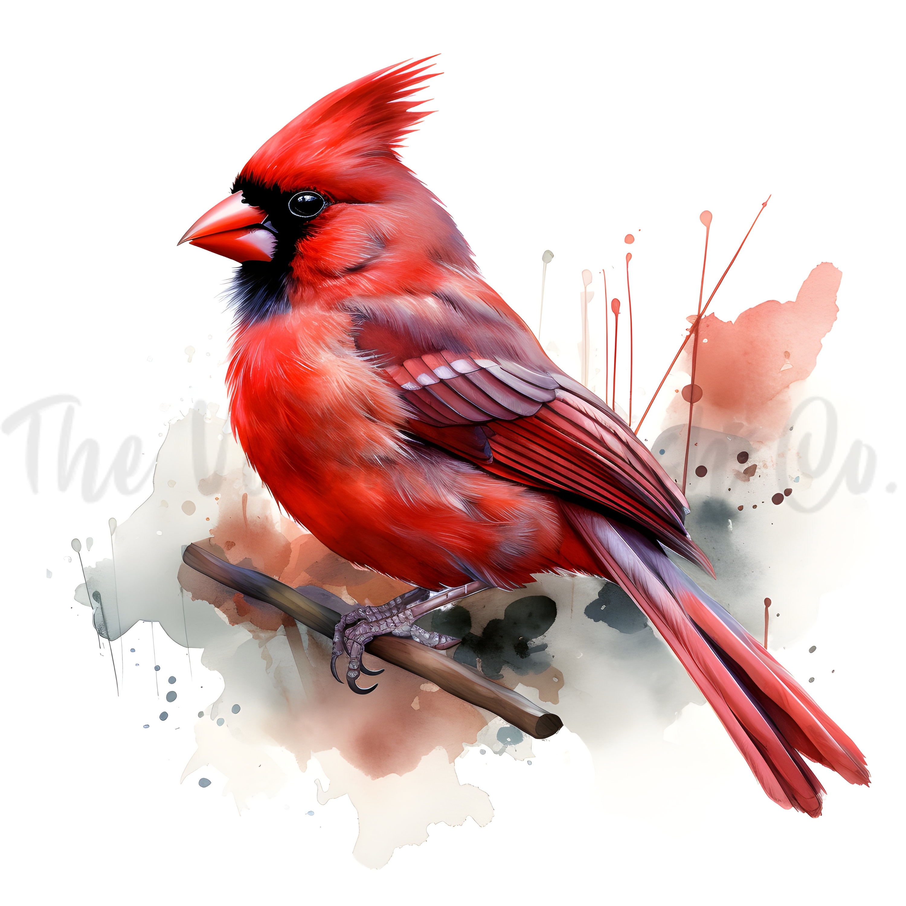 Red Cardinal PNG, Cardinal Clipart, Red Cardinal Bird, Watercolor Bird ...