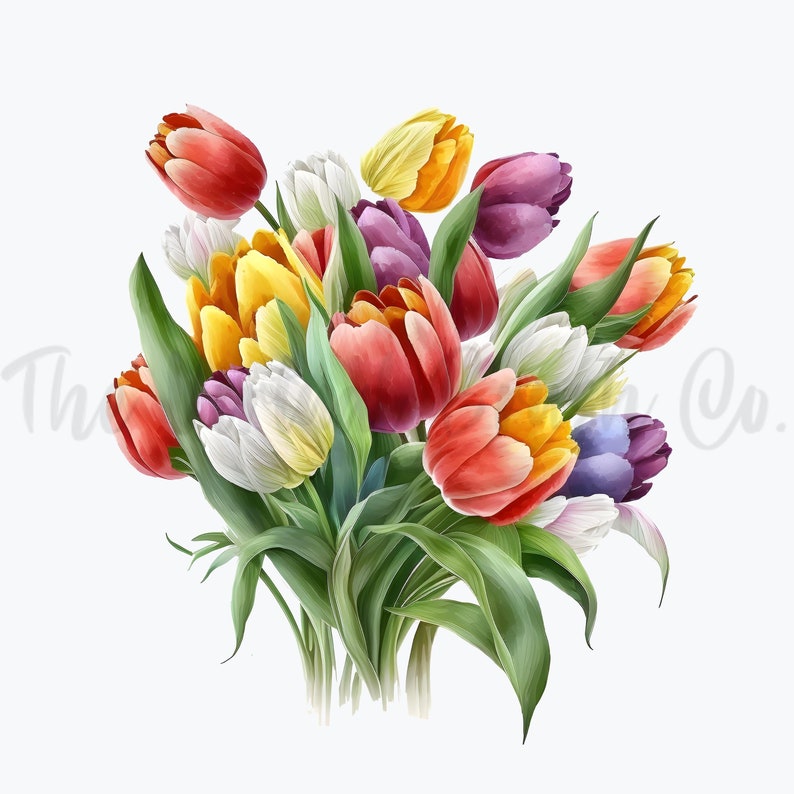 Tulips Clipart, Watercolor Tulips PNG, Flowers Clipart, Floral Clipart ...