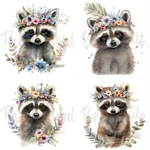 Woodland Animal PNG, Raccoon Clip Art, Baby Raccoon PNG, Watercolor ...