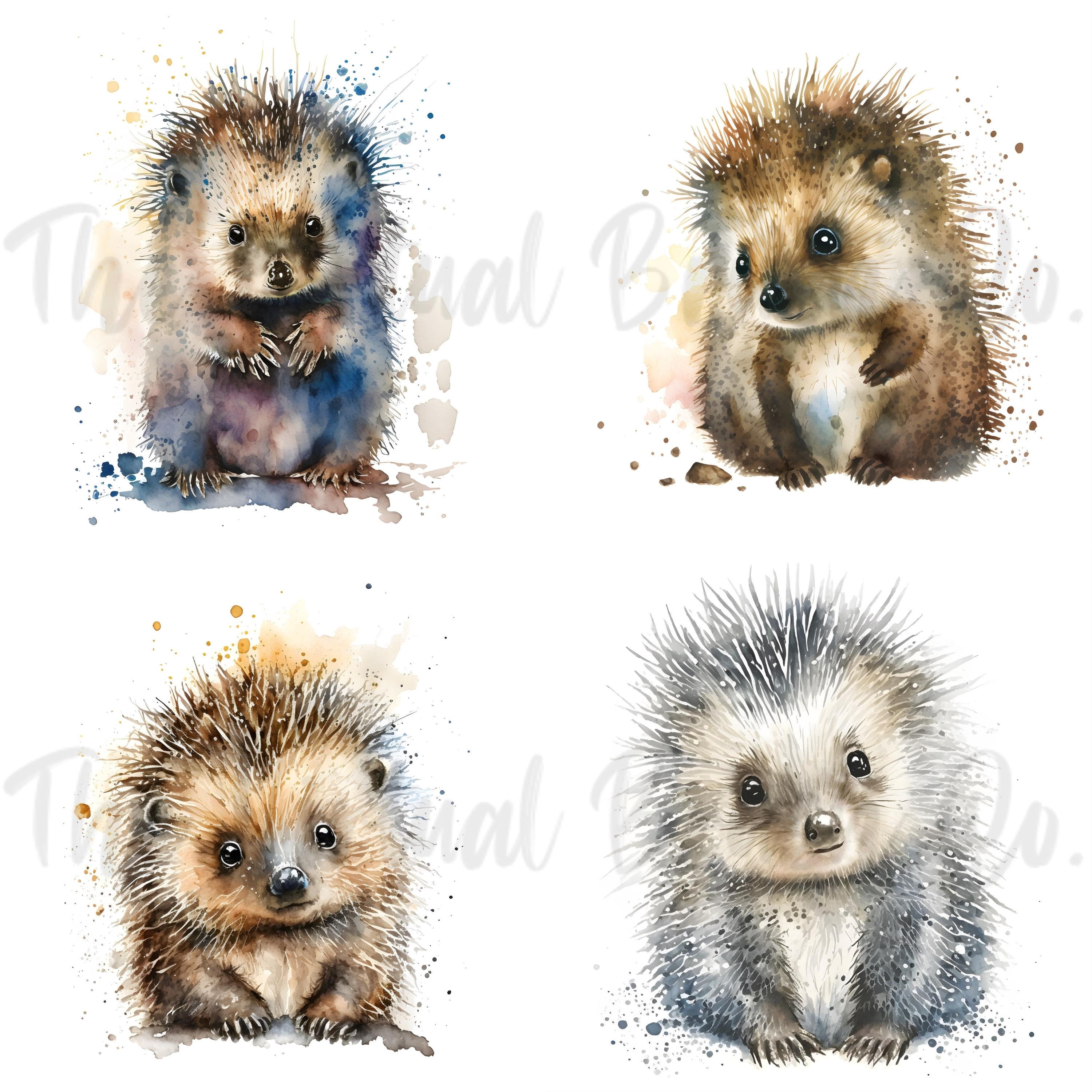 Woodland Animal PNG, Porcupine Clip Art, Porcupine PNG, Watercolor ...