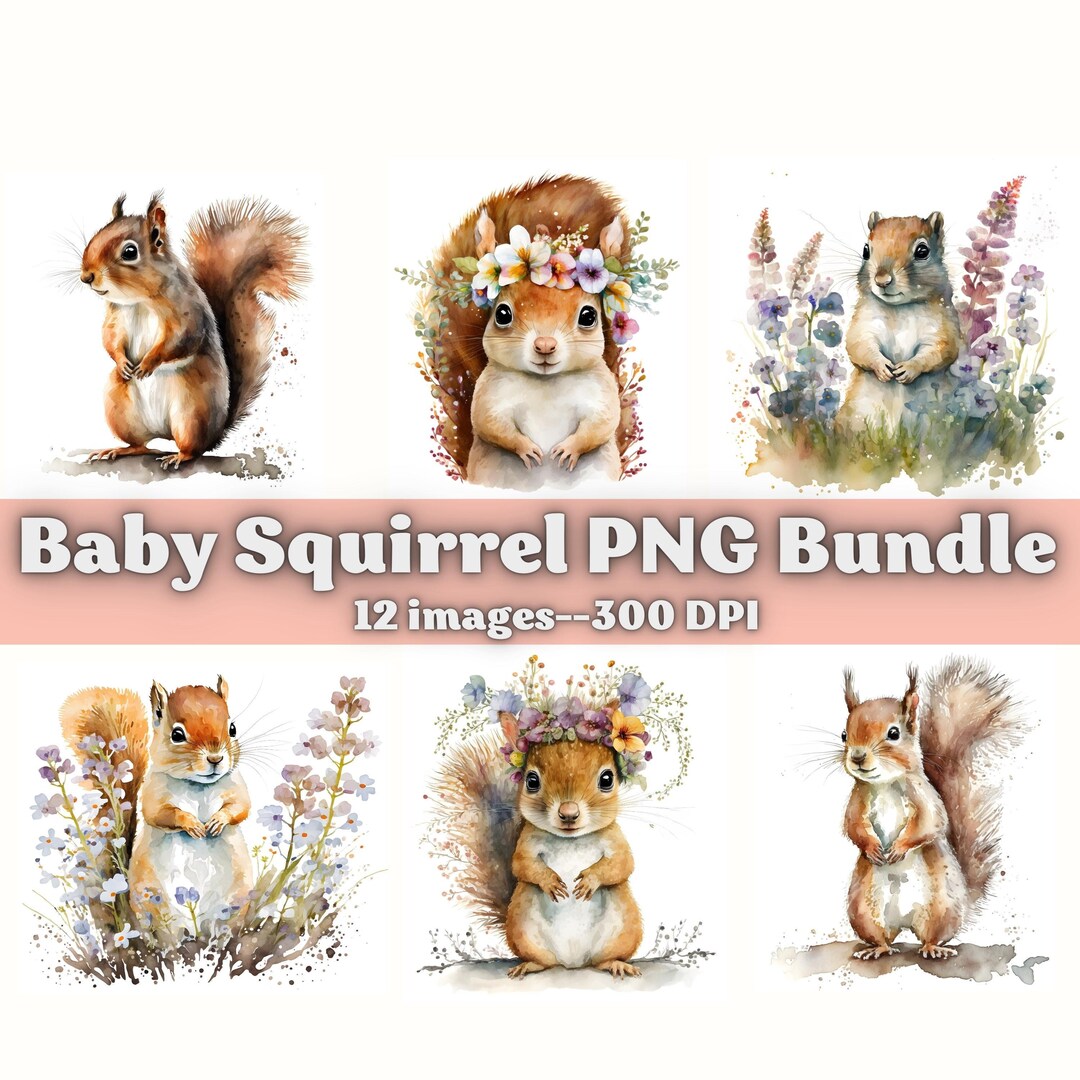 Woodland Animal PNG, Squirrel Clip Art, Baby Squirrel PNG, Watercolor ...