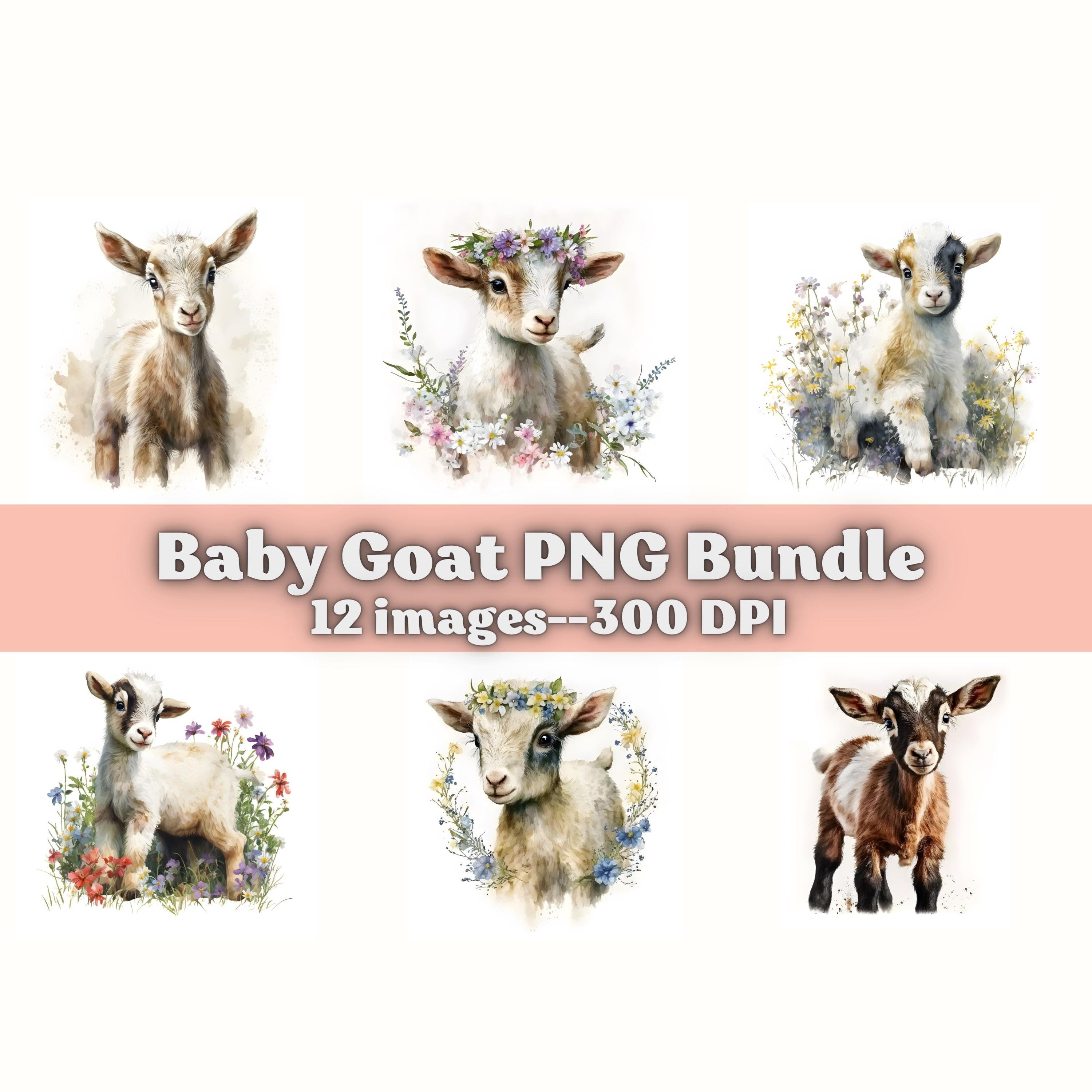 Baby Goat Clipart, Farm Animals PNG, Baby Goat PNG, Watercolor, Farm ...