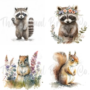 Woodland Animal PNG Bundle, Baby Animals Clip Art, Watercolor, Forest ...